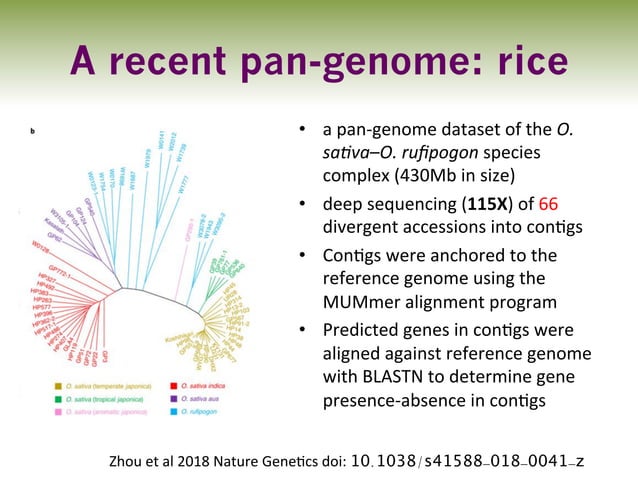 AgBioData: Complexity and Diversity of the Pan-Genome | PDF