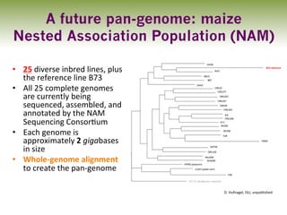 AgBioData: Complexity and Diversity of the Pan-Genome | PDF
