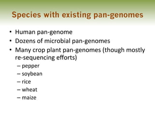 AgBioData: Complexity and Diversity of the Pan-Genome | PDF
