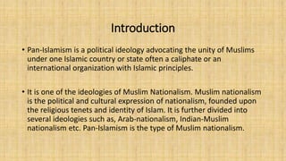 Pan islamism project | PPT