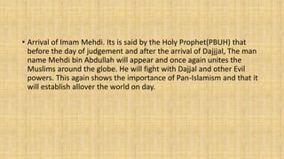 Pan islamism project | PPT