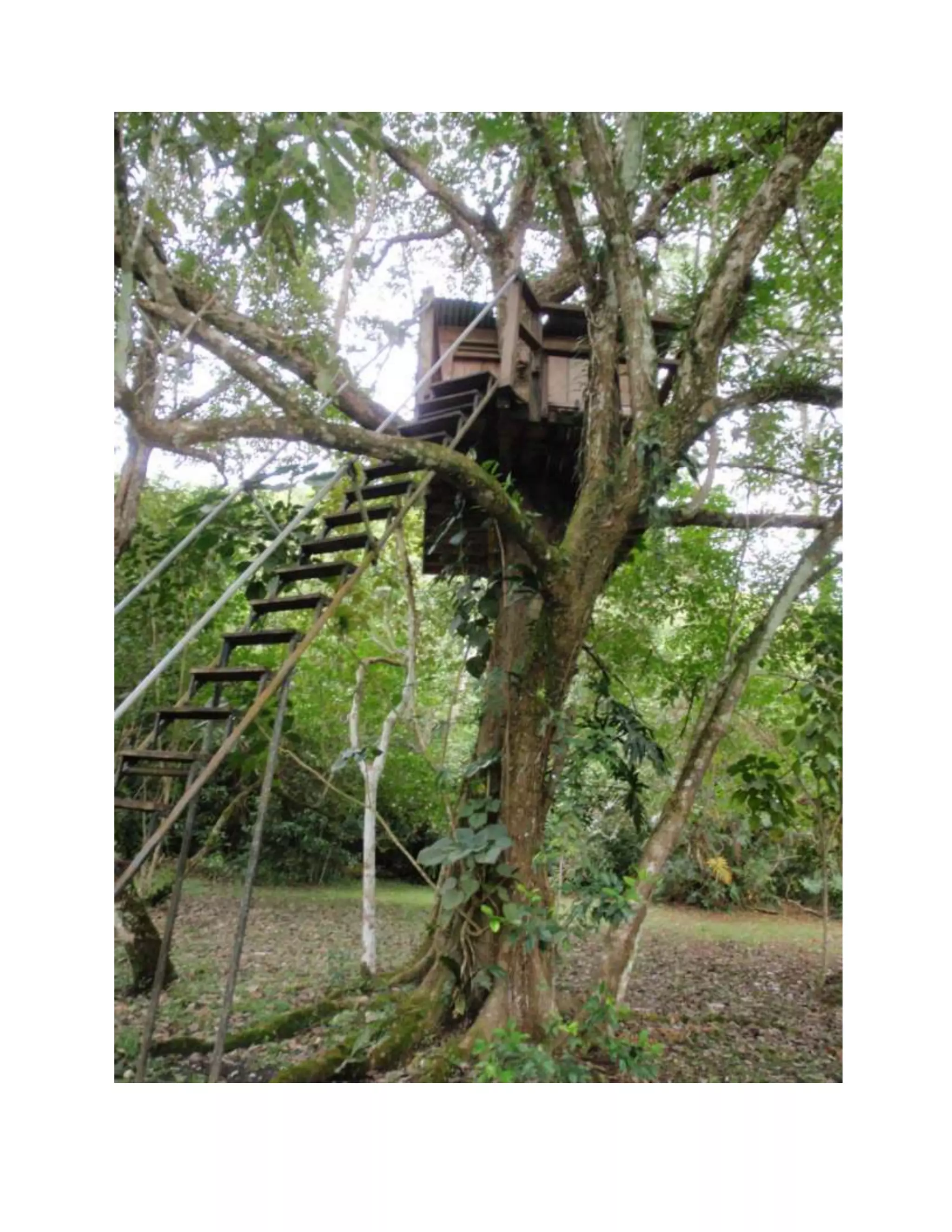 Panahanan sa pamumuhay ng mga unang pilipino | DOCX