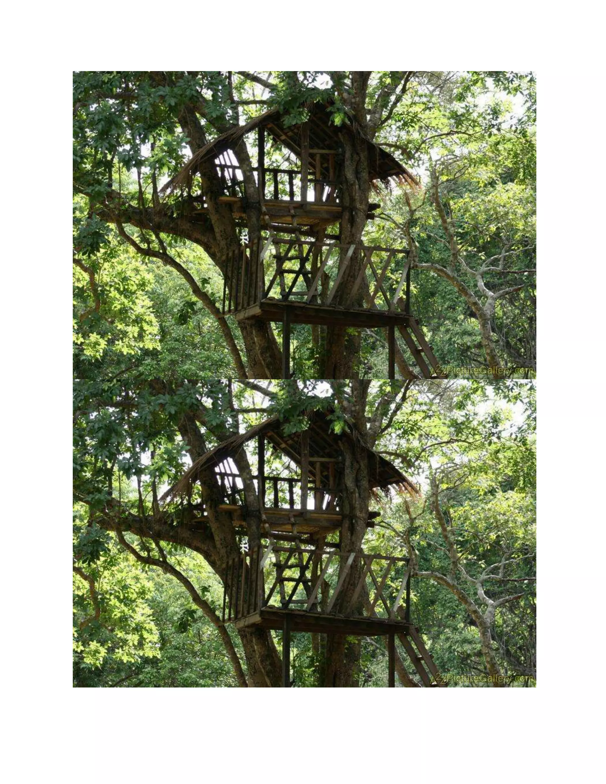 Panahanan sa pamumuhay ng mga unang pilipino | DOCX