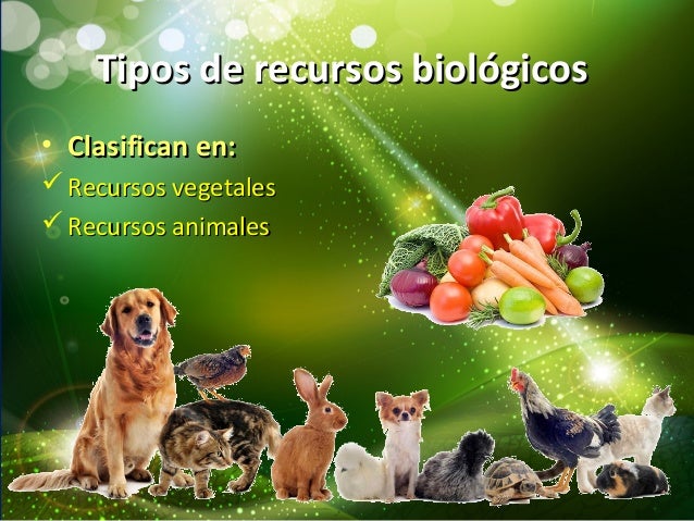 Los recursos biológicos – Blog de Nelva