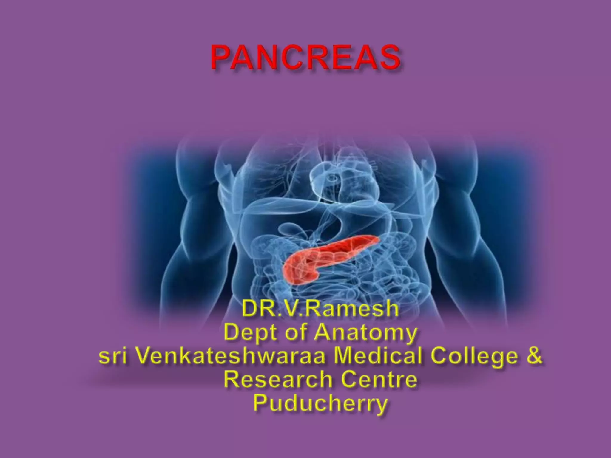 ANATOMY OF PANCREAS | PPTX