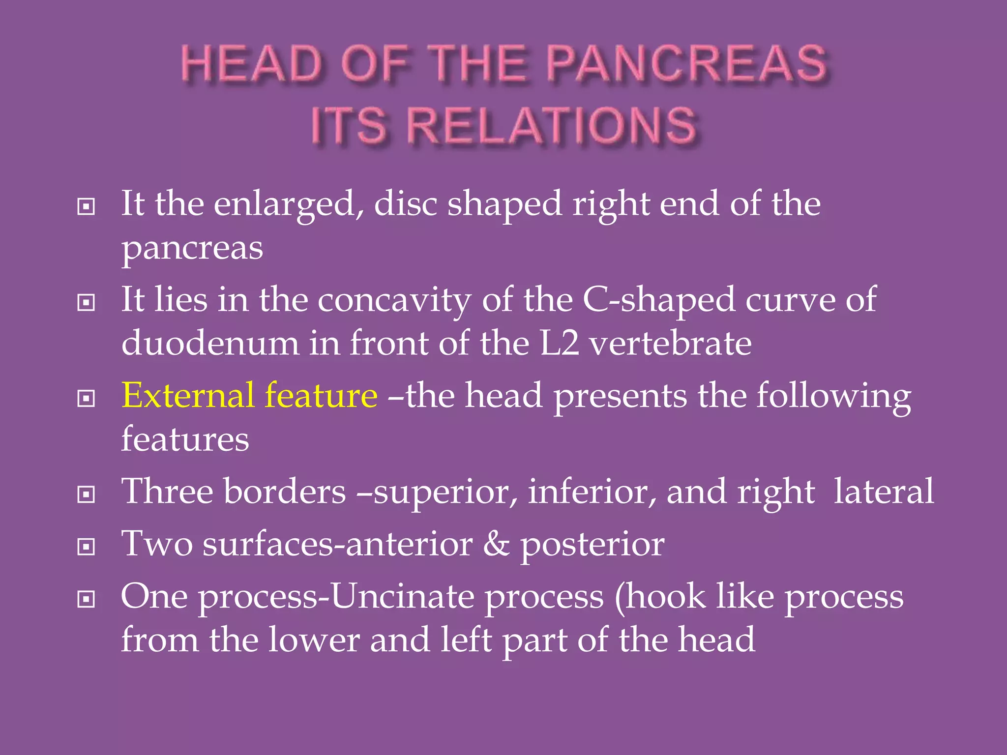 ANATOMY OF PANCREAS | PPTX