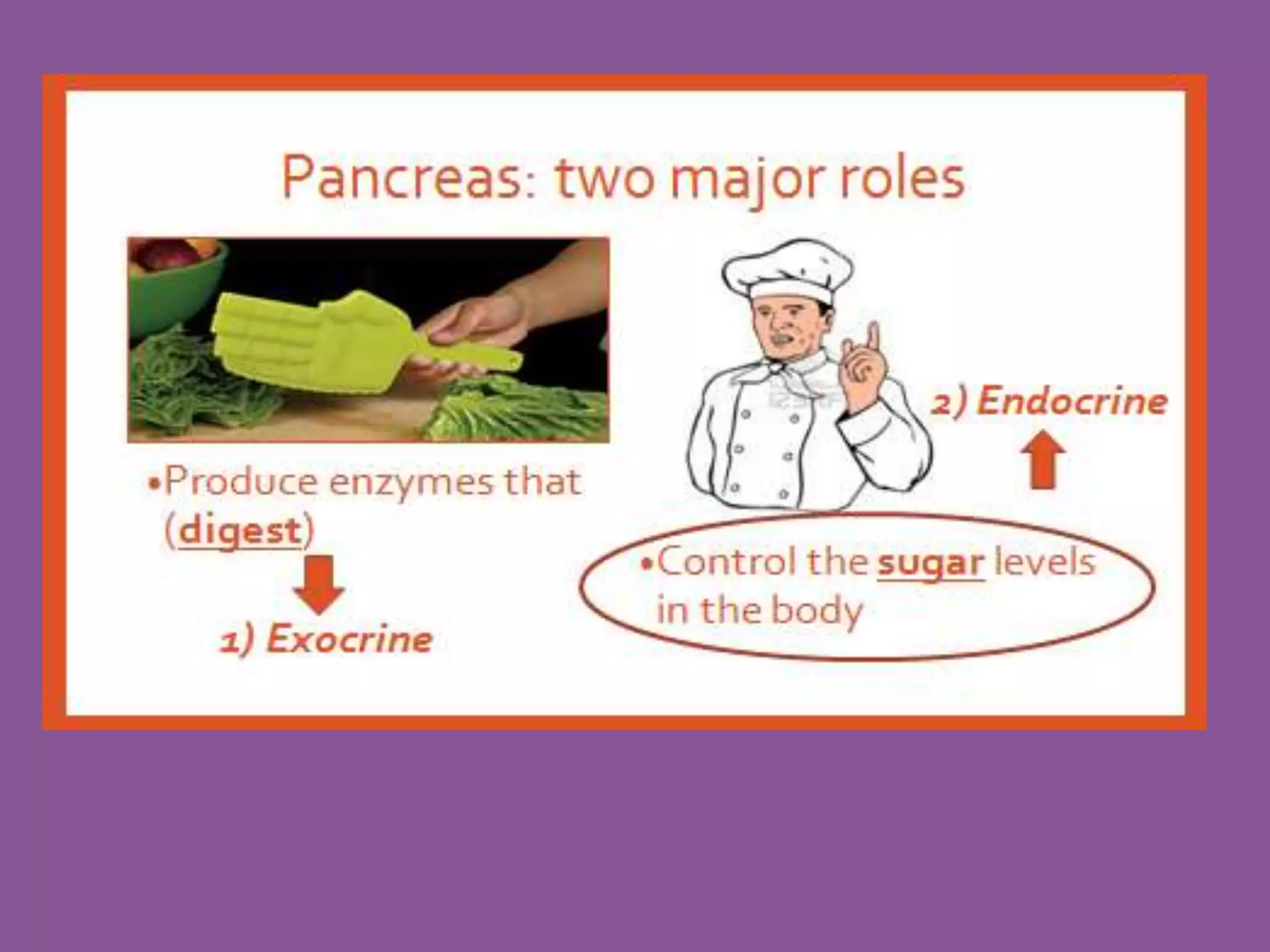 ANATOMY OF PANCREAS | PPTX
