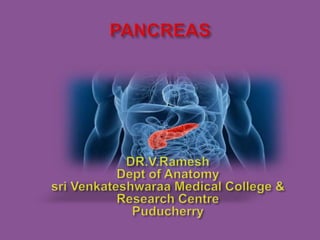 ANATOMY OF PANCREAS | PPT