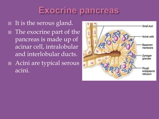 ANATOMY OF PANCREAS | PPTX