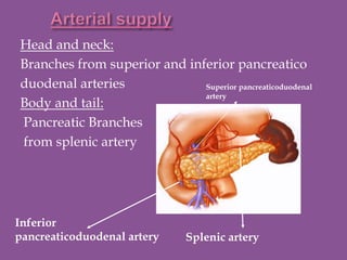 ANATOMY OF PANCREAS | PPT