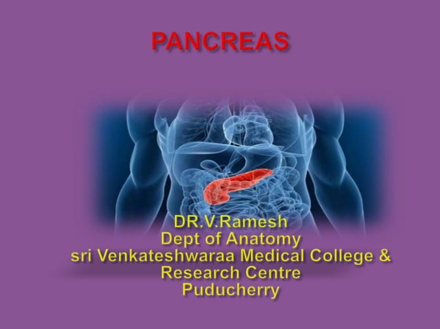 ANATOMY OF PANCREAS | PPT | Free Download