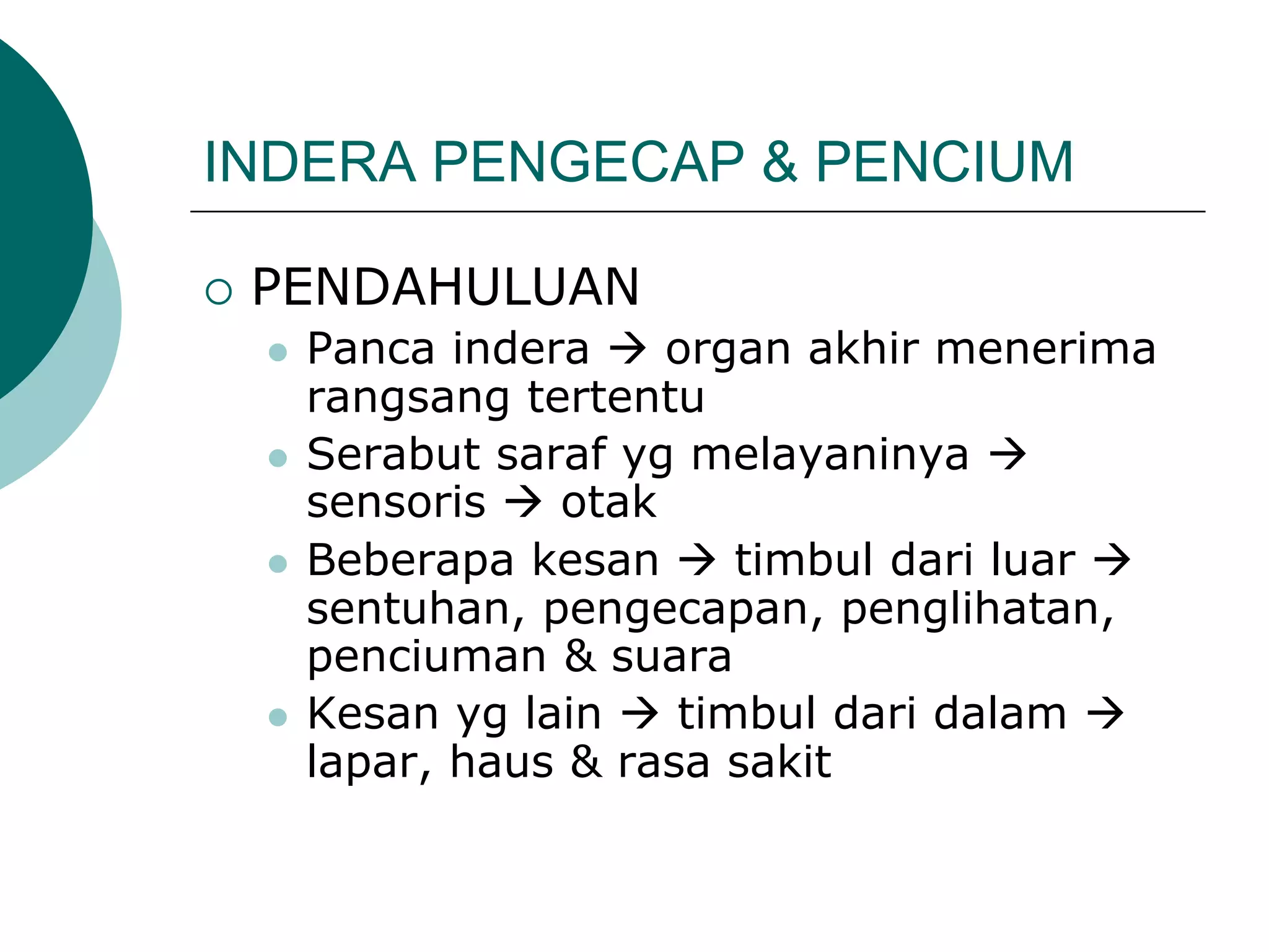 Panca indera manusia | PPT