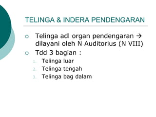 Panca indera manusia | PPT