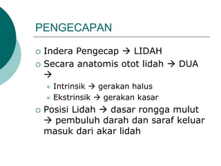 Panca indera manusia | PPT