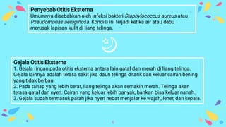 Sistem Panca indera Telinga manusia fisiologi | PDF