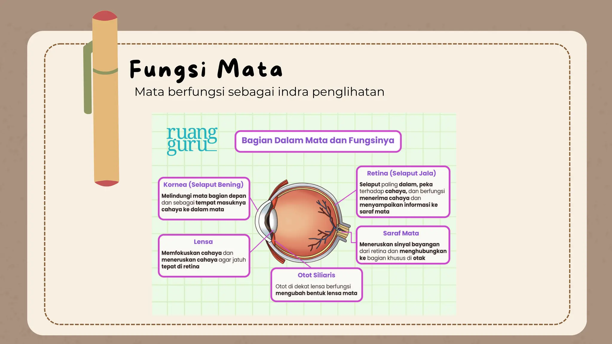 Mengenal Panca Indra_Meet 1_SD Fase B.pdf