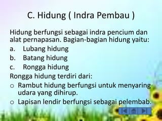 Panca indra | PPTX