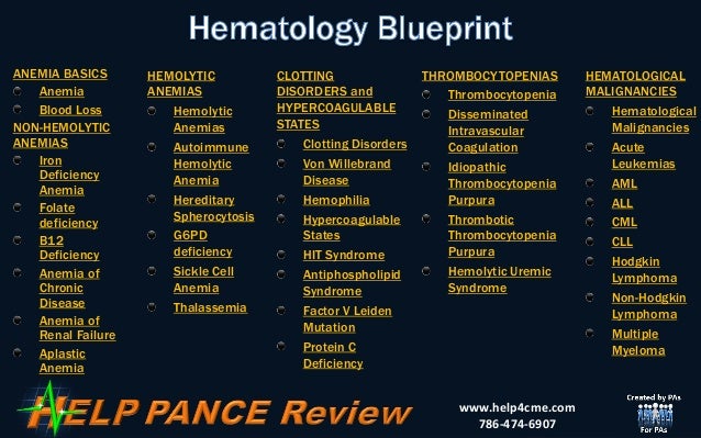 Pance blueprint internal medicine - templatenery