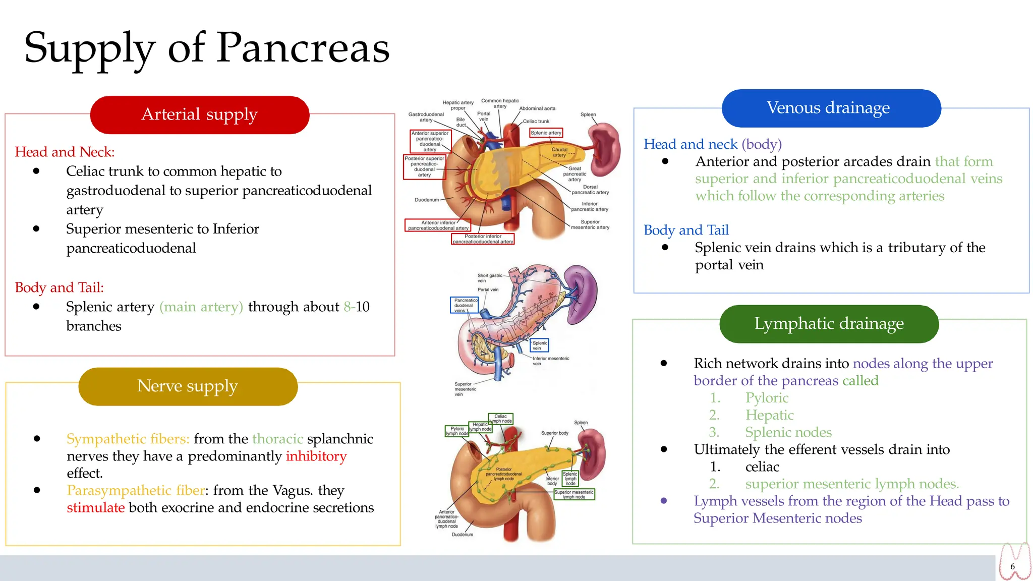 Panceras anatomy and physiology in 11 slides.pptx