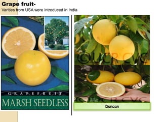 Fruit breeding method- introduction(IN INDIA)- Panchaal B. | PPTX ...