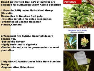 Fruit breeding method- introduction(IN INDIA)- Panchaal B. | PPTX ...