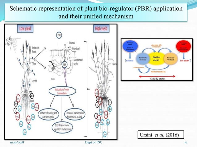 Advances in use of plant bio-regulators for fruit production-includes ...