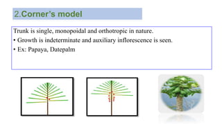 Advances in crop modeling-Panchaal B | PPTX