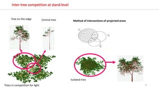 Advances in crop modeling-Panchaal B | PPTX