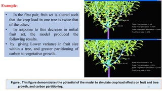 Advances in crop modeling-Panchaal B | PPTX