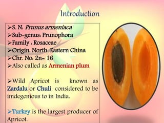 Advances in Apricot production | PPTX