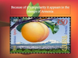 Advances in Apricot production | PPTX