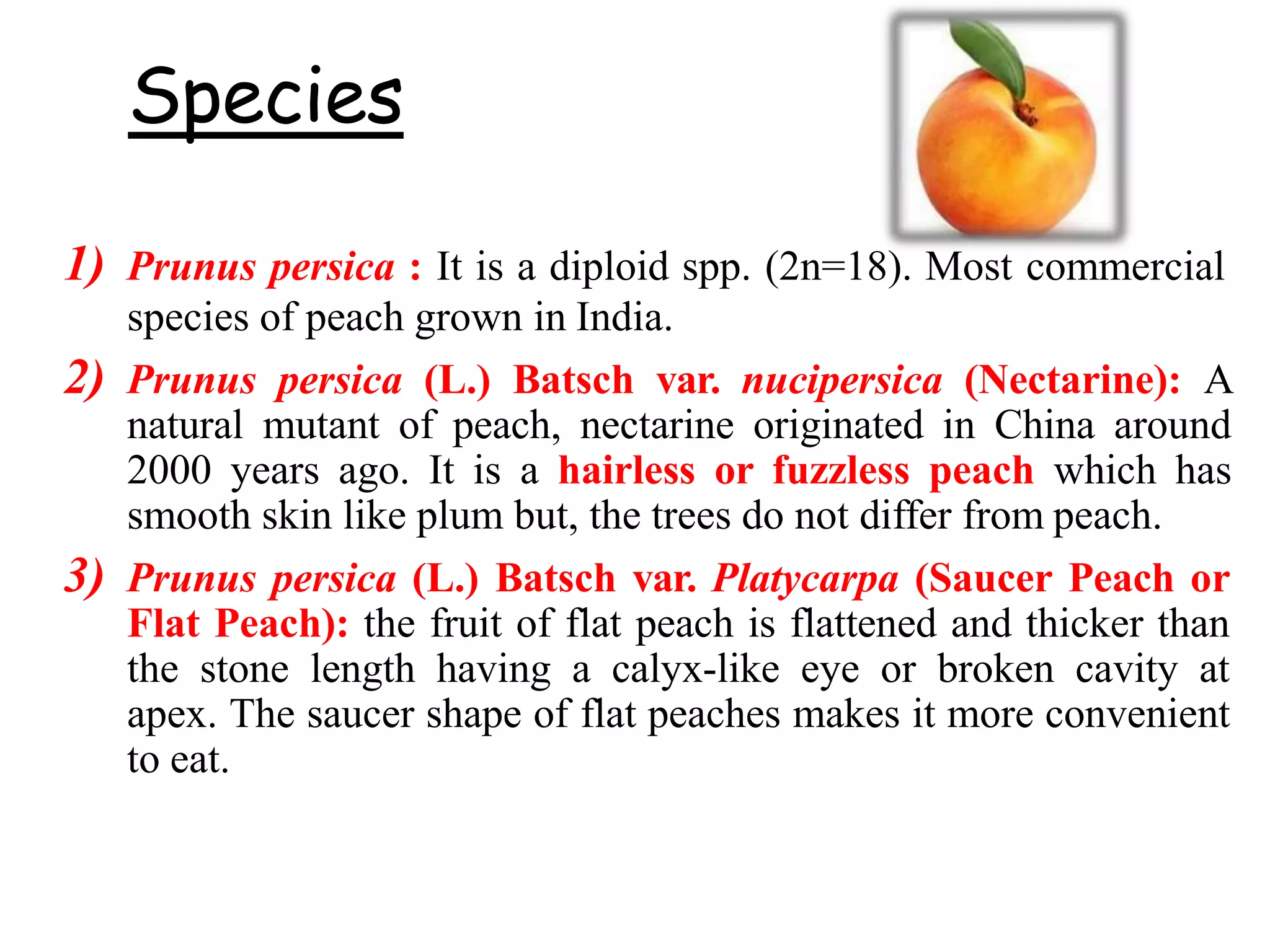Advances in peach production | PPTX