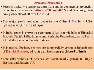 Advances in peach production | PPTX