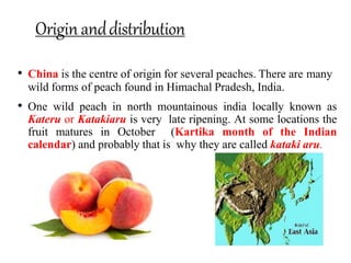 Advances in peach production | PPTX