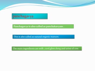 Panchagavya | PPT