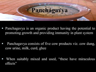 Panchagavya astonishing product in organic farming | PDF