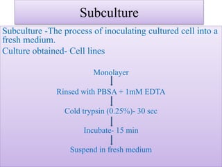Animal Cell and Tissue Based Techniques | PPTX