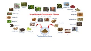 Ingredients of Panchanimba churna formulation.pptx