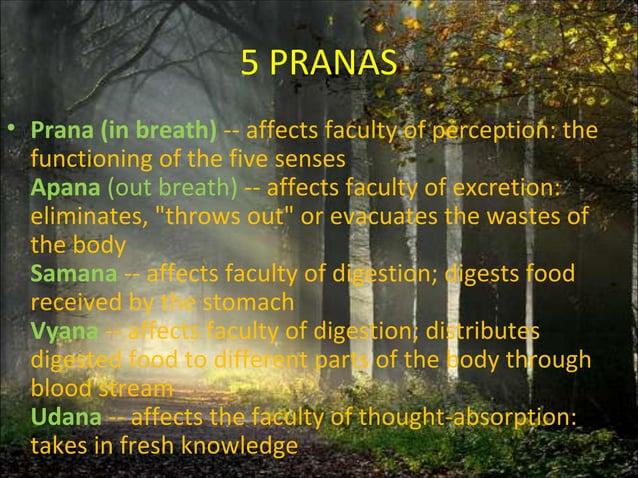 Panchkosh: 5 Layers of Existence in Humans | PPT