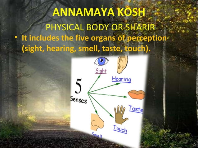 Panchkosh: 5 Layers of Existence in Humans | PPT