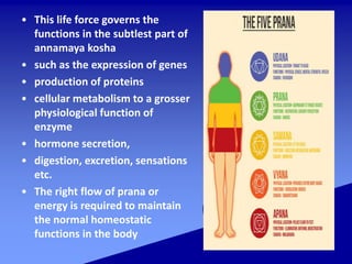 Panchkosha &health | PPT