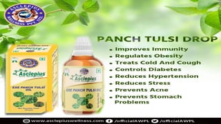 AWPL Panch Tulsi oil Uses & Ingrients with details | PPT