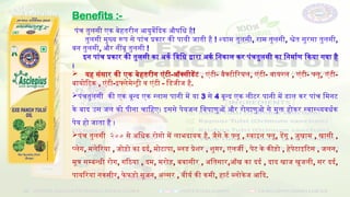 AWPL Panch Tulsi oil Uses & Ingrients with details | PPT