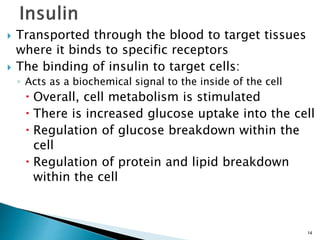 Pancrea and Diabetes.ppt