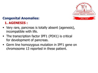 Pancreas 1 | PPT