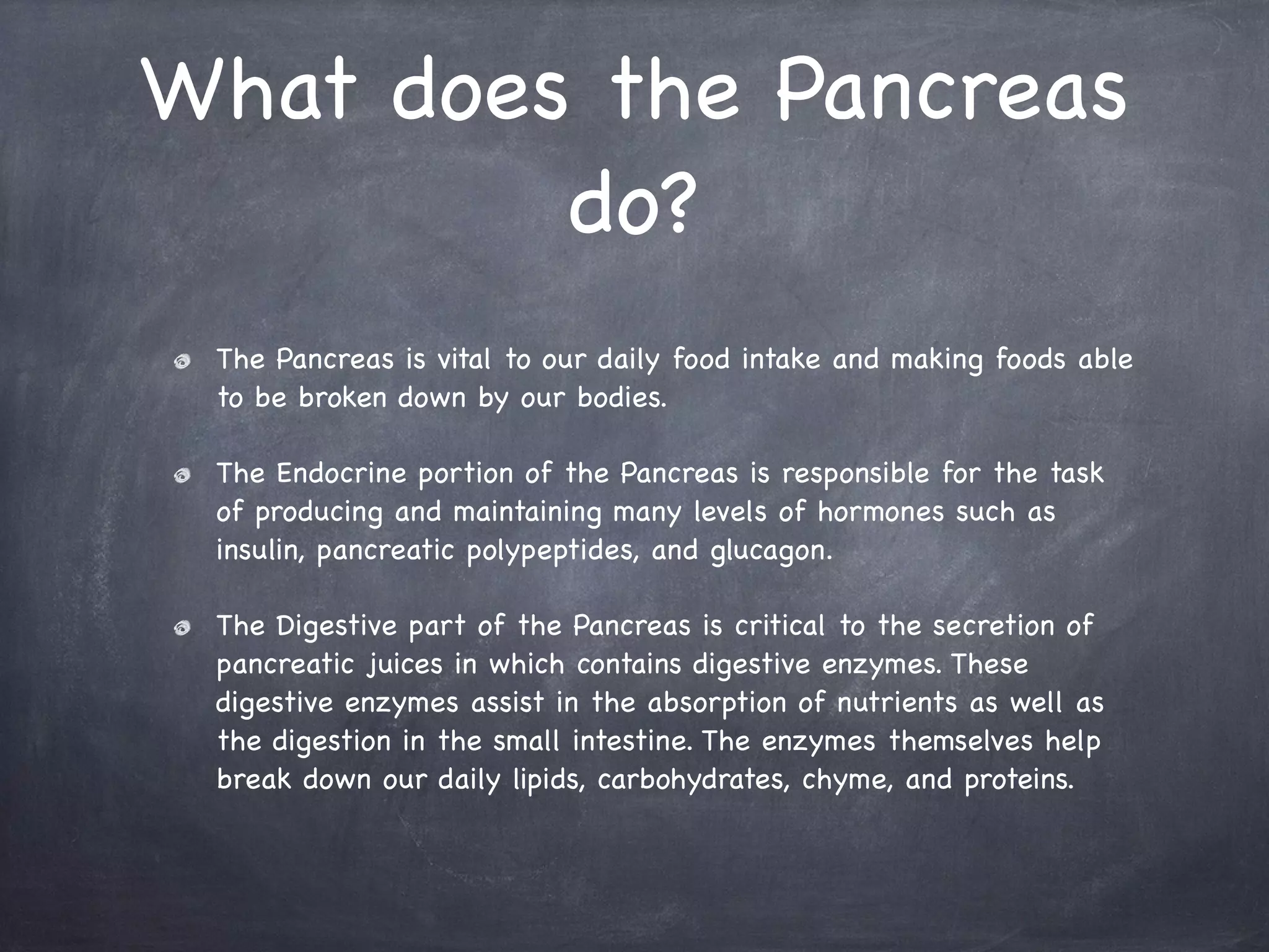 Pancreas | PDF