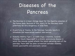 Pancreas | PDF