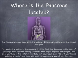 Pancreas | PDF