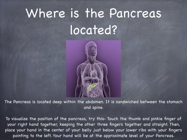 Pancreas | PDF | Digestive Disorders | Diseases and Conditions
