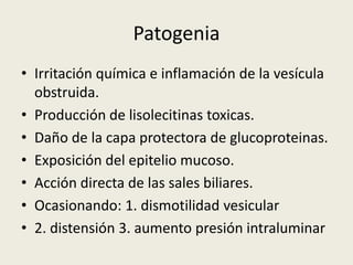 Pancreas | PPTX